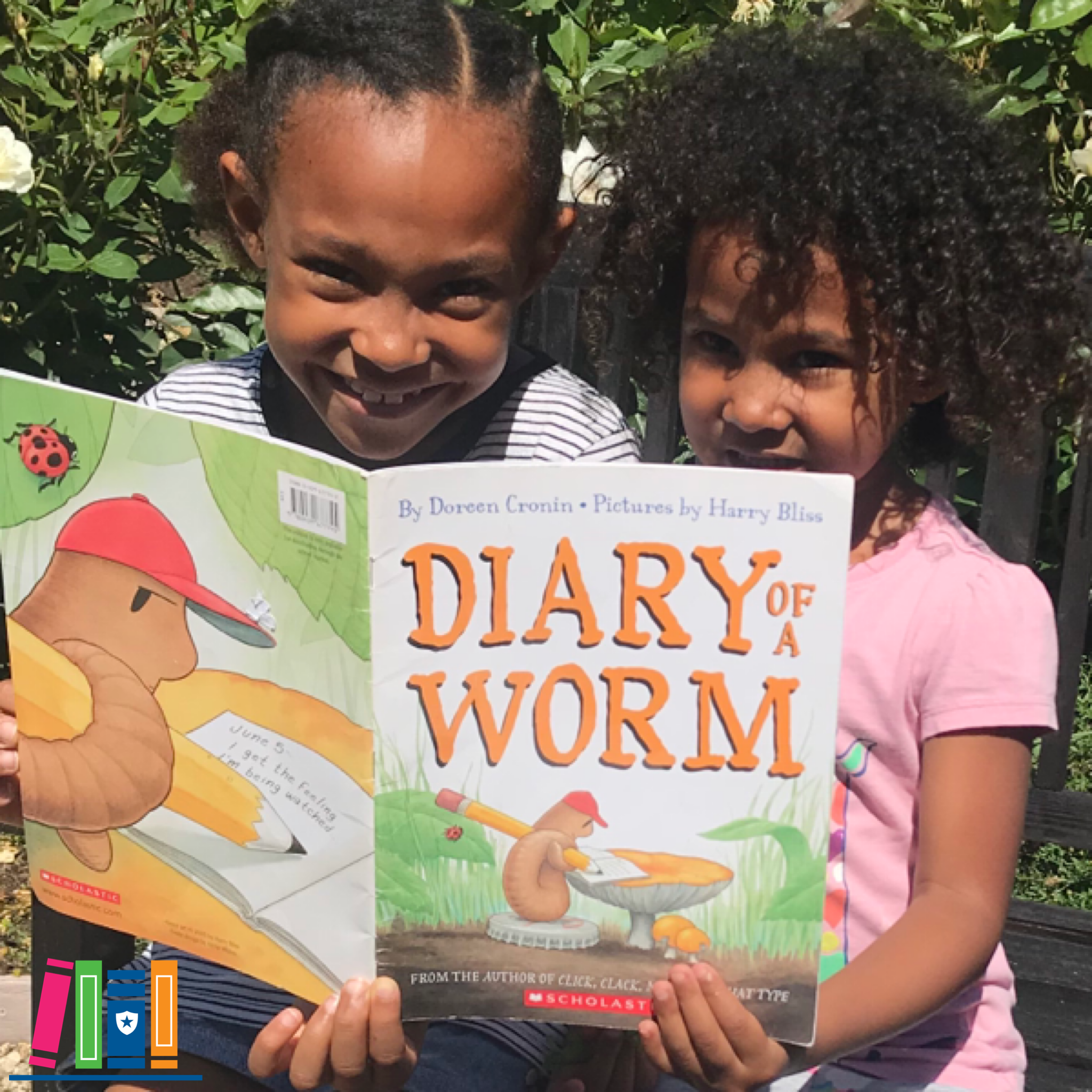 Diary of a Worm Activity Box – Lit League