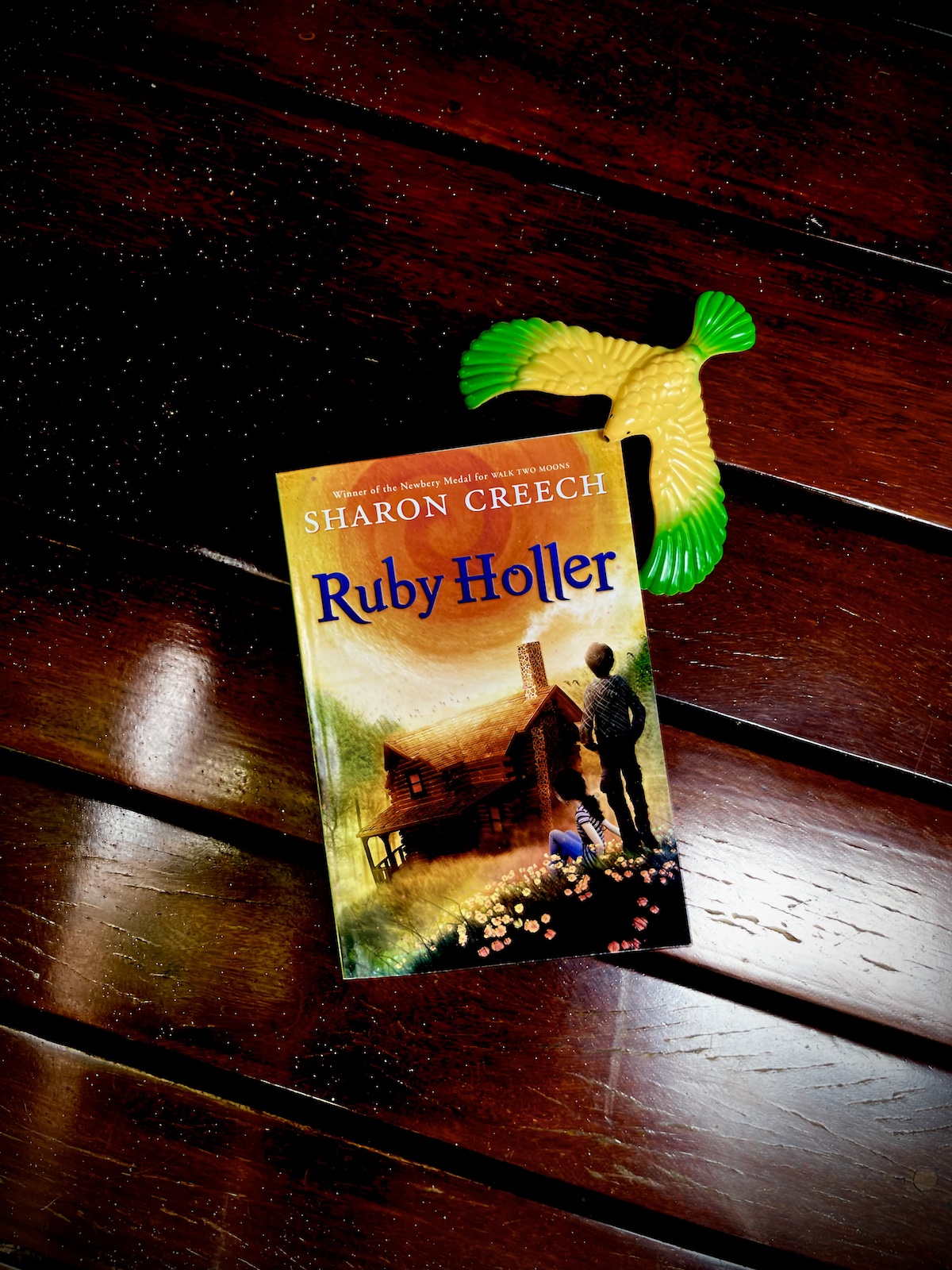 Ruby Holler Chapter Book Activity Box – Lit League
