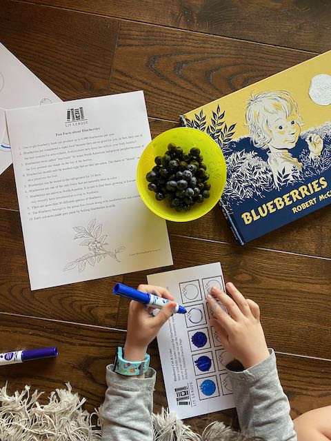 Blueberries for Sal Digital Book Club Download – Lit League