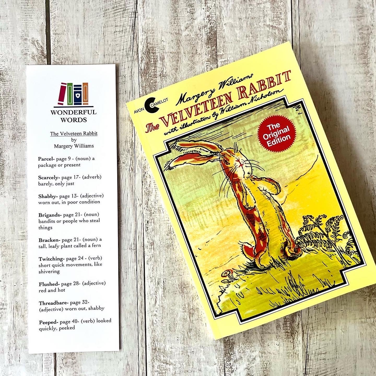 The Velveteen Rabbit Activity Box – Lit League